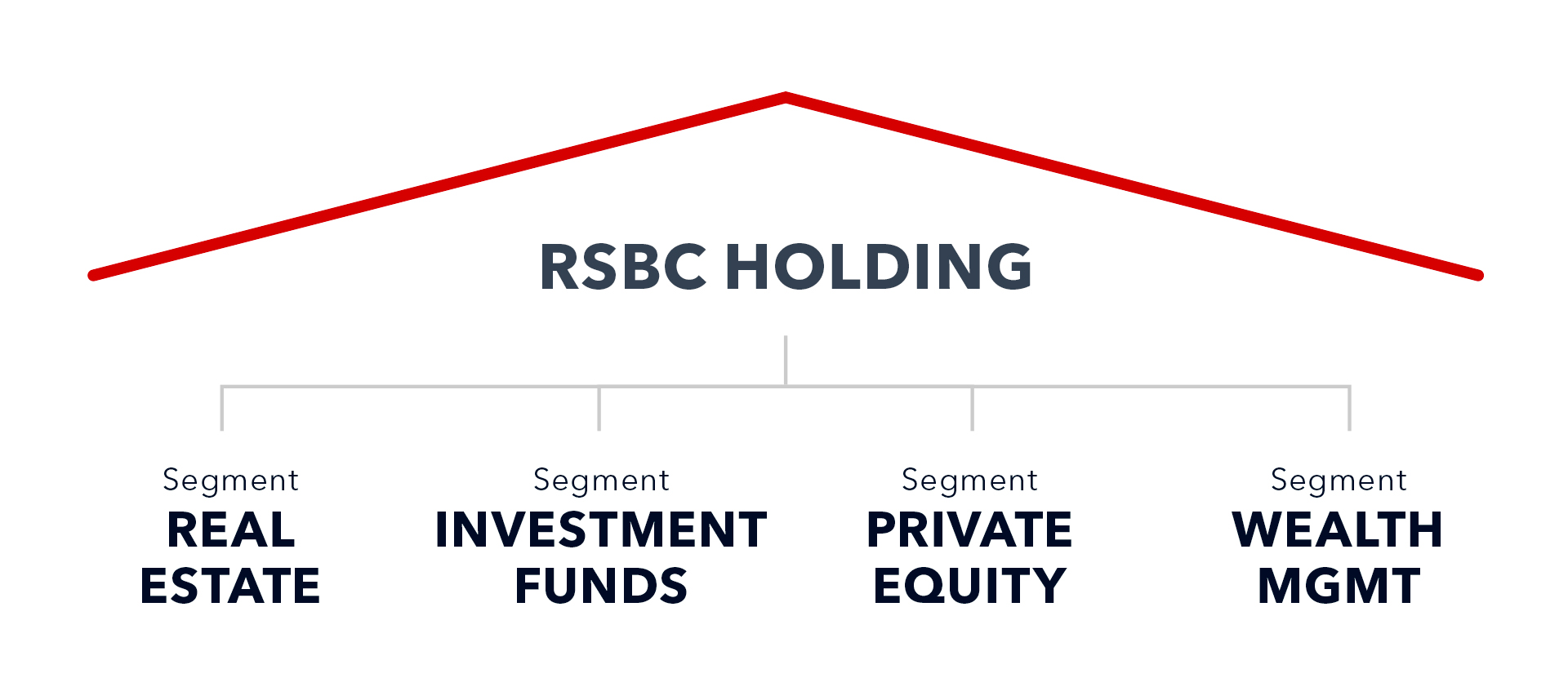 Investiční skupina RSBC dynamicky roste. Staví na 25 letech zkušeností ...